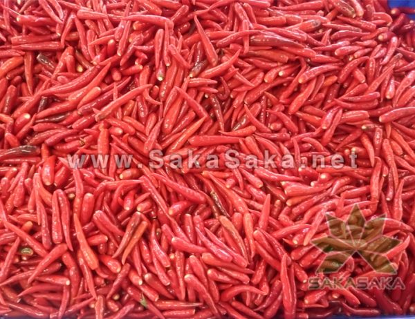Frozen Red Chili (Without Stem) High Quality - SakaSaka.net