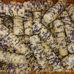 Frozen White Sticky Corn - Food Supplier | SakaSaka.net