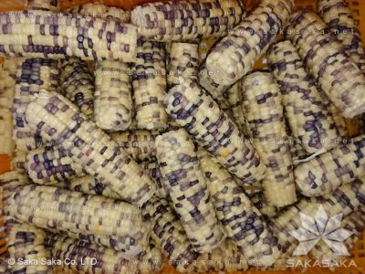 Frozen White Sticky Corn - Food Supplier | SakaSaka.net