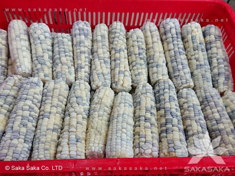 Frozen White Sticky Corn - Food Supplier | SakaSaka.net