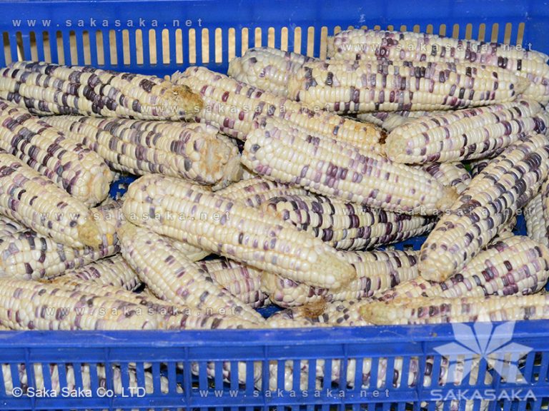 Frozen White Sticky Corn - Food Supplier | SakaSaka.net